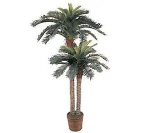 NEARLY NATURAL 6' & 4' Sago Palm Double Potted Tree Nearlyn Atural - One-color