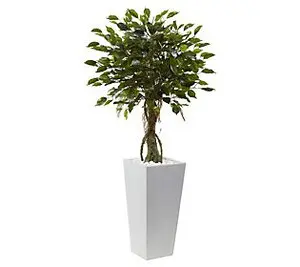 NEARLY NATURAL 52' Ficus Tree With White Planter Nearly Nat Ural - One-color