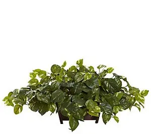 NEARLY NATURAL Pothos Window Box Silk Plant By - One-color