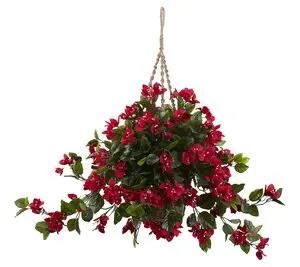 NEARLY NATURAL Bougainvillea Hanging Basket By - One-color