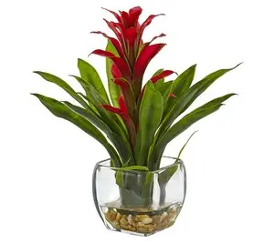 NEARLY NATURAL Bromeliad With Vase Arrangement By - One-color