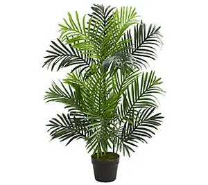 NEARLY NATURAL 3' Paradise Palm Artificial Tree Nearly Natu Ral - One-color