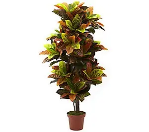 NEARLY NATURAL 4.5' Croton Plant Real Touch By - One-color