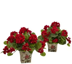 NEARLY NATURAL Geranium With Floral Planter Set Of 2 By - One-color