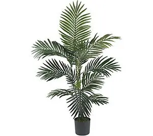 NEARLY NATURAL 4' Kentia Palm Silk Tree By - One-color