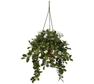 NEARLY NATURAL Mixed Stephanotis Hanging Basket Nearly Natu Ral - One-color