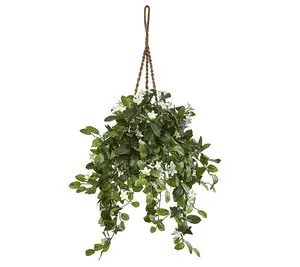 NEARLY NATURAL Stephanotis In Hanging Basket By - One-color