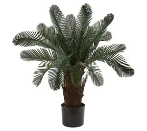 NEARLY NATURAL 2' Cycas Artificial Tree By - One-color