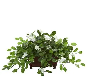 NEARLY NATURAL Mix Stephanotis Plant In Planter Nearly Natu Ral - One-color