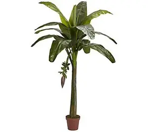 NEARLY NATURAL 6' Banana Silk Tree Real Touch Nearly Natura L - One-color