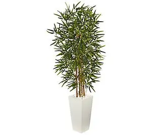 NEARLY NATURAL 5.5' Bamboo Artificial Tree In Planter Nearl Y Natural - One-color