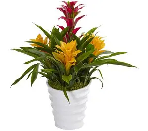 NEARLY NATURAL Bromeliad In White Swirl Vase By - One-color