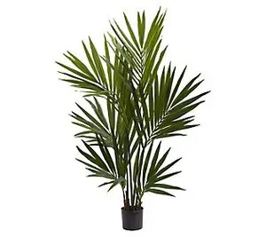 NEARLY NATURAL 4' Kentia Palm Silk Tree By - One-color