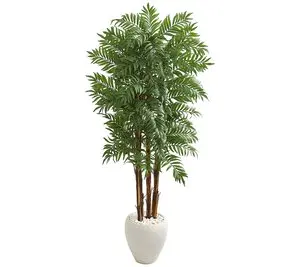 NEARLY NATURAL 6' Parlor Palm Tree In White Planter Nearly Atural - One-color