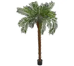 NEARLY NATURAL 7' Cycas Palm Artificial Tree By - One-color