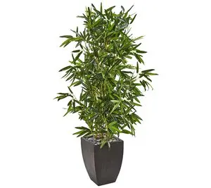 NEARLY NATURAL 5' Bamboo Tree In Black Planter By - One-color