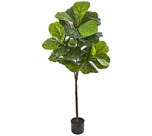 NEARLY NATURAL 54' Fiddle Leaf Artificial Tree By - One-color