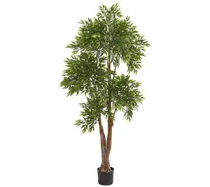 NEARLY NATURAL 69' Ruscus Artificial Tree By - One-color