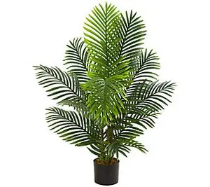 NEARLY NATURAL 4' Paradise Palm Artificial Tree Nearly Natu Ral - One-color