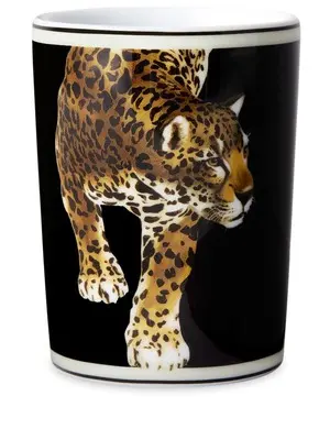Dolce & Gabbana Tiger-print Porcelain Glass - Black