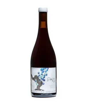 PARCELLE WINE Catalina Ugarte, Pai­s Chile 2019