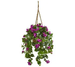NEARLY NATURAL Bougainvillea Plant In Hanging Basket By - One-color