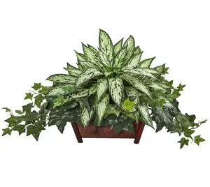 NEARLY NATURAL Silver Queen & Ivy Plant In Planter Nearly N Atural - One-color