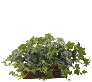 NEARLY NATURAL Puff Ivy With Ledge Basket By - One-color