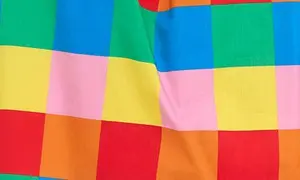 English Factory Rainbow Check Cotton Top