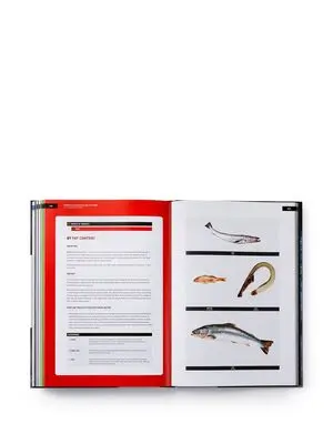 PHAIDON PRESS Unelaborated Products: Definition And Classification