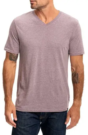 THREADS 4 THOUGHT V-neck T-shirt Dark Plum