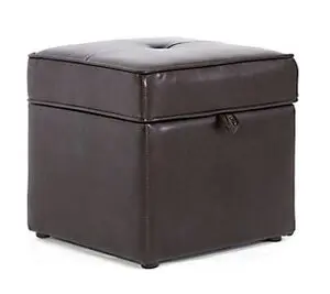 QVC Sydney Brown Modern Storage Ottoman - One-color