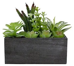 NORTHLIGHT 10' Artificial Mixed Succulent Plants In A Rect Angular Plante