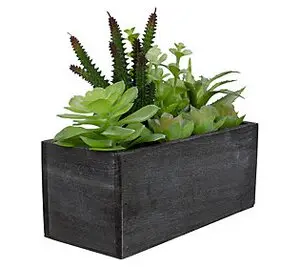 NORTHLIGHT 10' Artificial Mixed Succulent Plants In A Rect Angular Plante