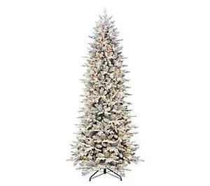 PULEO INTERNATIONAL Puleo 9' Slim Flocked Northern Fir Pe/pvc Tree, 600 Ul - One-color