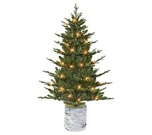 PULEO INTERNATIONAL Puleo 4.5' Pe/pvc Potted Tree,150 Ul Clear Inca Descent - One-color