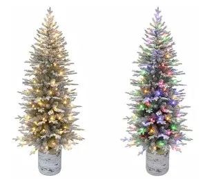 PULEO INTERNATIONAL Puleo 6' Prelit Potted Flocked Arctic Fir Penci L Tree - One-color