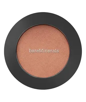 BRAND NAME Bounce & Blur Powder Blush