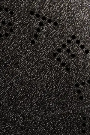 Stella McCartney Perforated Vegetarian Leather Camera Bag - Black