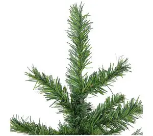 NORTHLIGHT 3' Potted Norway Spruce Medium Chris Mas Tree
