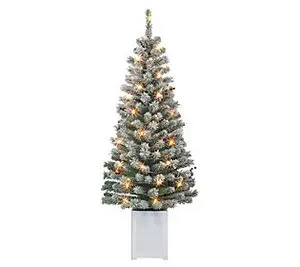 PULEO INTERNATIONAL Puleo Set Of Two 5' Pre-lit Potted Flocked West Rn Spruce Tree - One-color