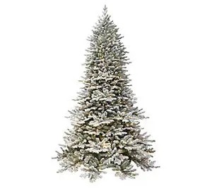 PULEO INTERNATIONAL Puleo 6.5' Prelit Flocked Royal Majestic Dougla Fir - One-color