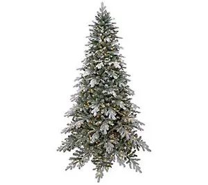 VALERIE PARR HILL 7.5' Led Snowtip Aspen Tree Valerie - One-color