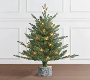 PULEO INTERNATIONAL Puleo 2' Pre-lit Artificial Potted Tree