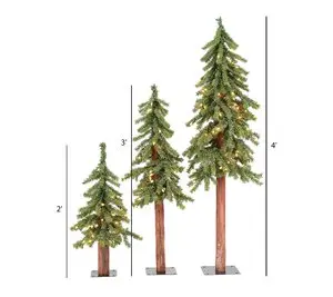 VICKERMAN Natural Alpine Artificial Christmas T Ree Set Ww