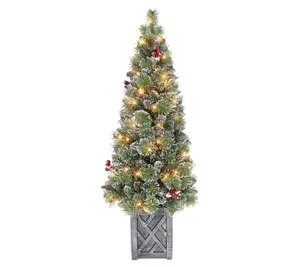 PULEO INTERNATIONAL Puleo 5' Pre-lit Potted Vancouver Pine Tree - One-color