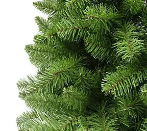 PULEO INTERNATIONAL 7.5 Ft Virginia Pine Tree, 1108 Tips