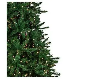 NORTHLIGHT 9' Pre-lit Twin Falls Pine Christmas Tree