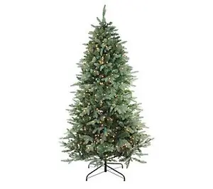 NORTHLIGHT 9' Pre-lit Granville Fraser Fir Chri Stmas Tree - One-color