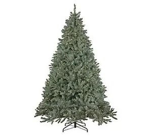 NORTHLIGHT 7.5' Pre-lit Full Newport Spruce Chr Istmas Tree - One-color
